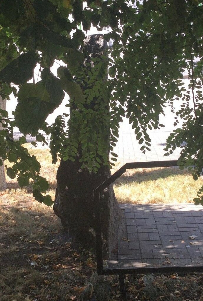 Anıt, heykel Детям-узникам фашистских концлагерей, Voronej, foto