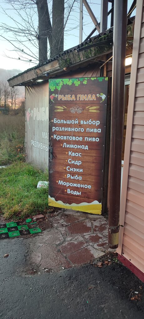 Bira dükkanı Магазин разливных напитков Рыба Пила, Tverskaya oblastı, foto