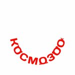 Kosmozoo (Troitskiy Avenue No:21), petshop  Arhangelsk'ten
