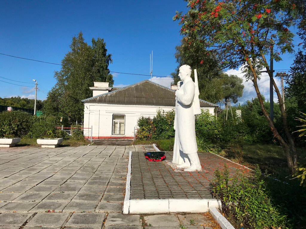 Anıt, heykel Мать и воин, Tulskaya oblastı, foto
