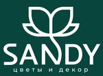Sandy (ulitsa Kuybysheva No:12), çiçek teslimatı  Pavlovo'dan