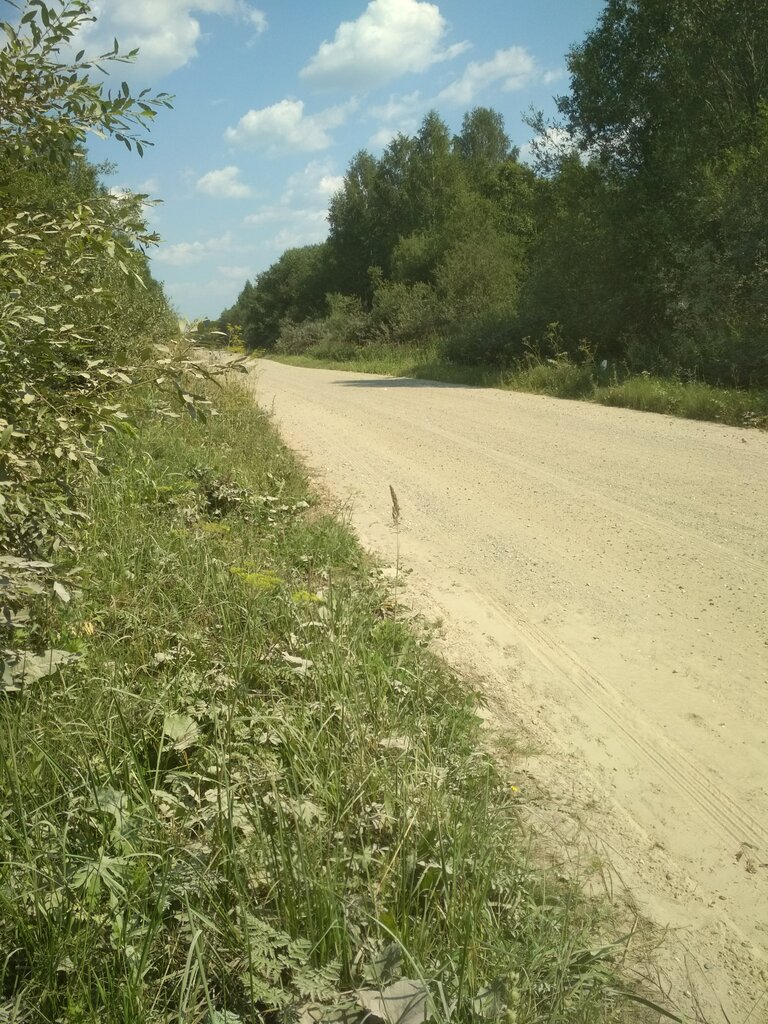 Pınar, çay Spring, stream, Vologodskaya oblastı, foto