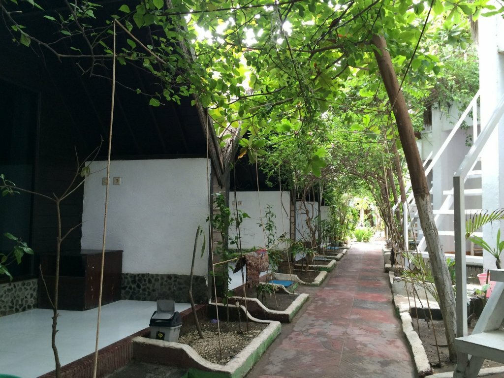 Otel Gili Turtle Village, , foto