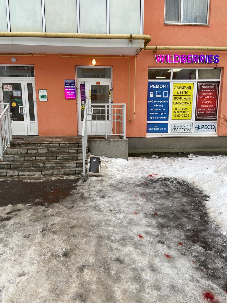 Petshop Zoo shop Bad Cat, Peterhof, foto