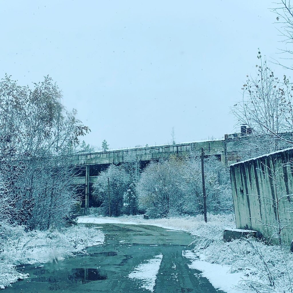 Ahşap endüstrisi Obshchestvo s Ogranichennoy Otvetstvennostyu Krona, Shimanovsk, foto