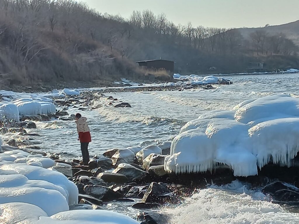 Pınar, çay Spring, stream, Primoriye, foto