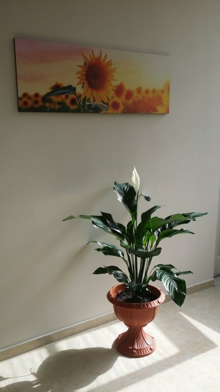 Otel B&b Napul'è, Napoli, foto