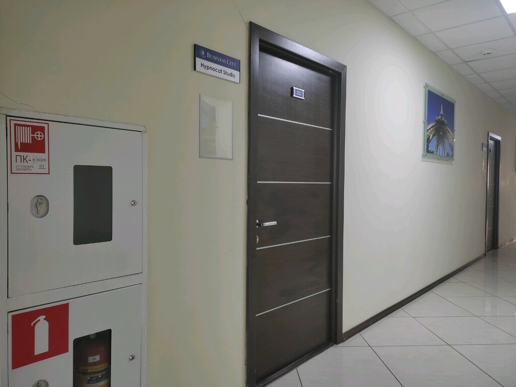 Bilişim firmaları Hypnocat studio, Briansk, foto