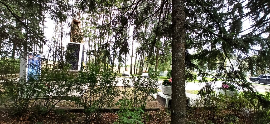 Anıt, heykel Братская могила 21 советских воинов, Brianskaya oblastı, foto