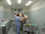 Belozuboff (Prosvescheniya Avenue No:33к1), özel ağız ve diş sağlığı klinikleri ve muayenehaneleri  Saint‑Petersburg'dan