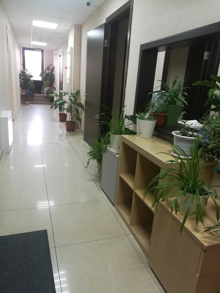 Yönetim ofisi GMS Clinic, Офис, Moskova, foto