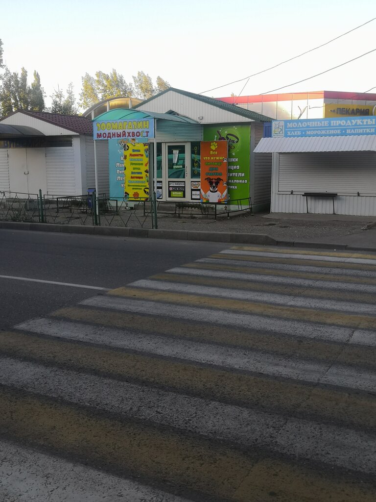 Petshop Modniy Hvost, Budennovsk, foto