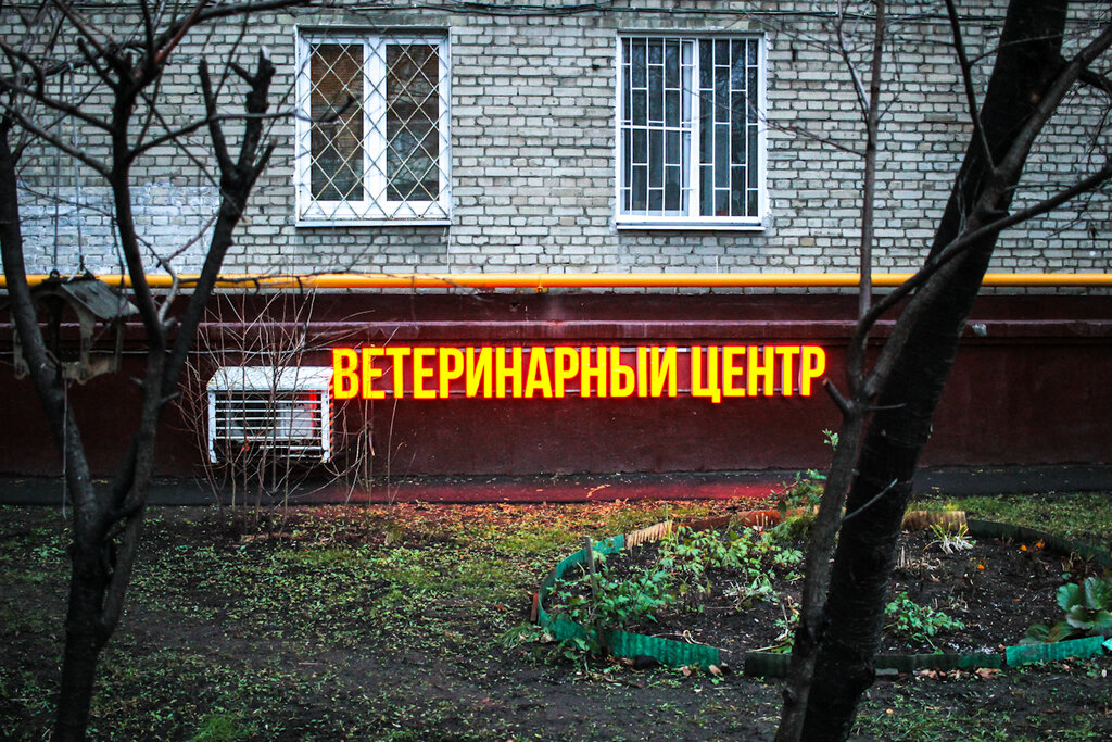 Veteriner klinikleri Apogey, Moskova, foto