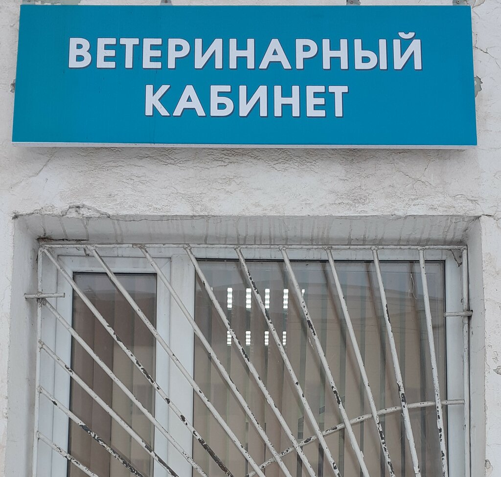 Veteriner klinikleri Veterinary office of Dr. Matveev, Aşa, foto