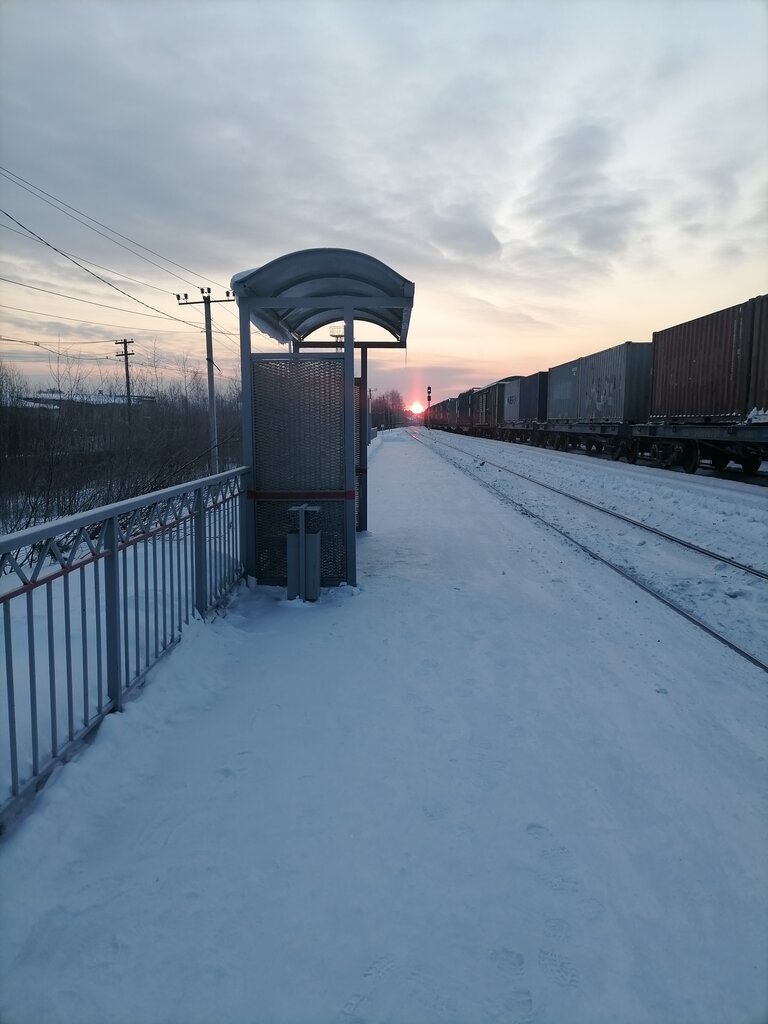 Tren istasyonu 1096 км, Arhangelskaya oblastı, foto