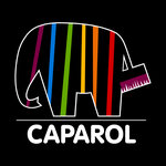 Caparol center (Gagarina Street No:72А), boya ve cila malzemeleri üretim ve satış yerleri  Soçi'den
