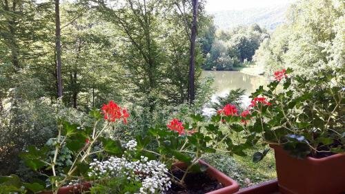 Otel Pintea Chalet, Maramureş, foto