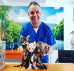 Dr. Mazzi Michele (Via Lavizzari No:2, Locarno), petshop  Locarno'dan