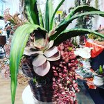 Fioreria Garden Flowers (Via Laguna No:8, Cogollo del Cengio, Piovene Rocchette), çiçek teslimatı  İtalya'dan