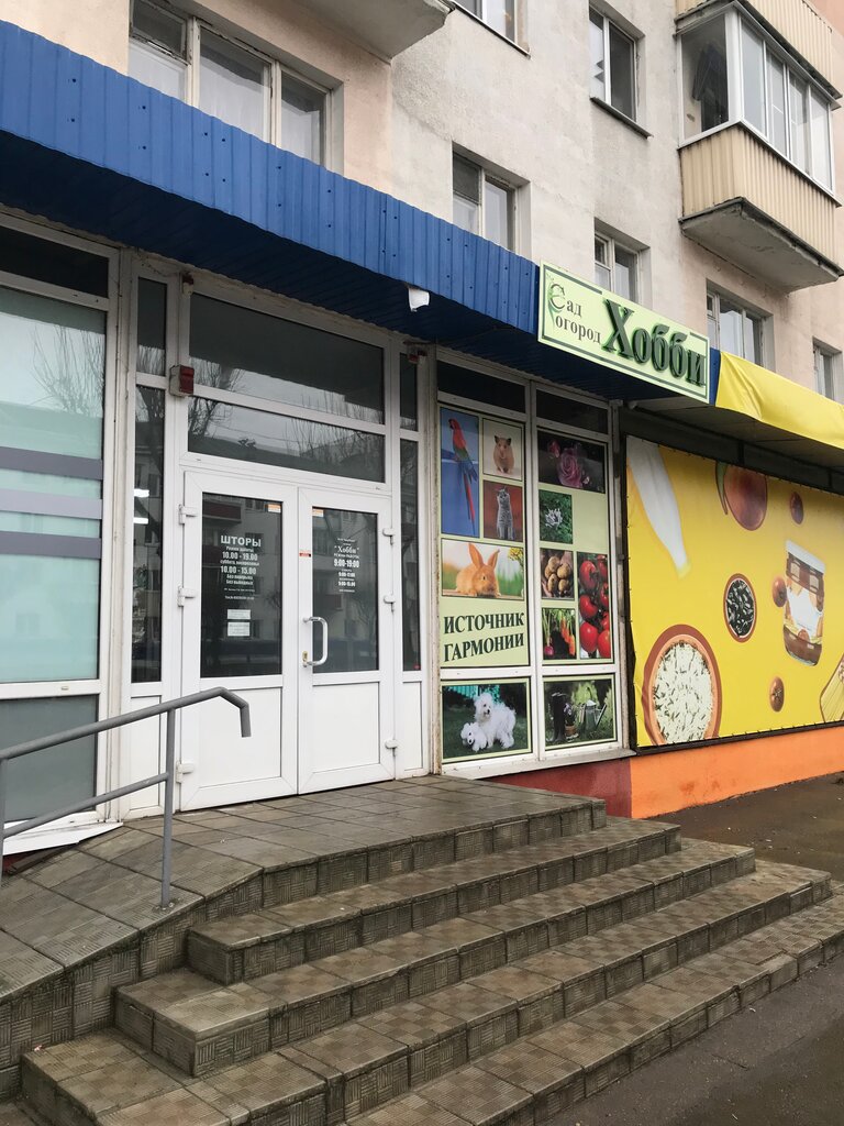 Tohum satan yerler Khobbi magazin ChTUP Golubkova, Orsha, foto