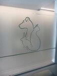 Ambulatorio Veterinario Dr. ssa Marcon Roberta (Via Martiri Cecoslovacchi No:11, Conegliano), veteriner klinikleri