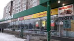 Зоомагазин (Sovetskaya Street No:15, Novocheboksarsk), petshop  Novocheboksarsk'tan