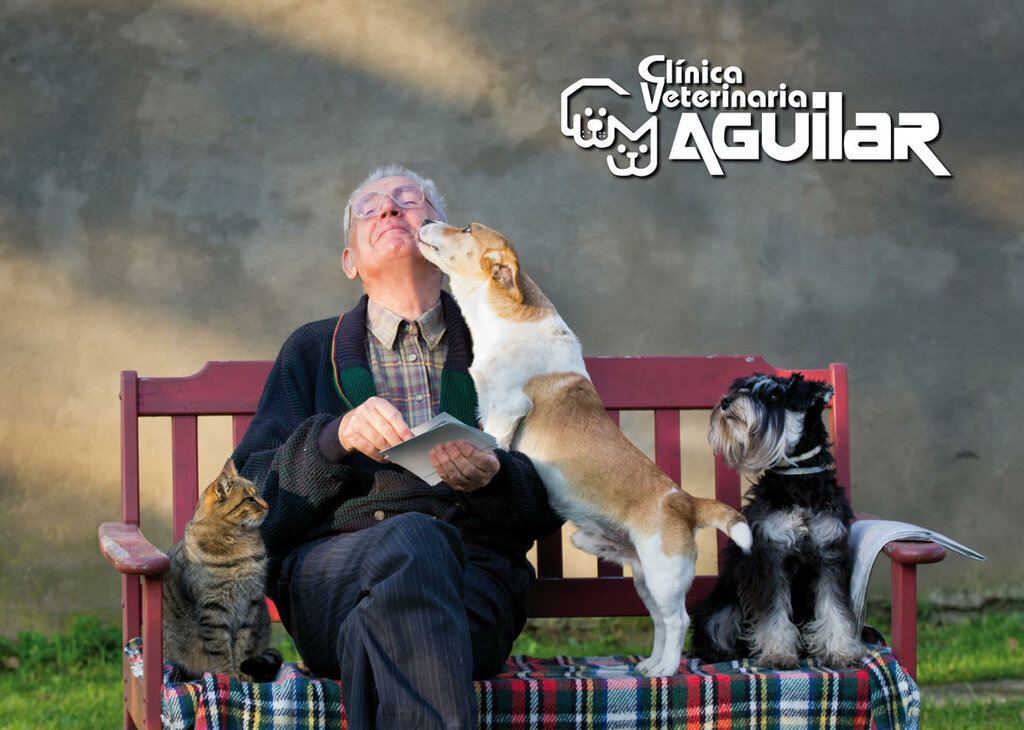 Veteriner klinikleri Clínica Veterinaria Aguilar, Burgos, foto