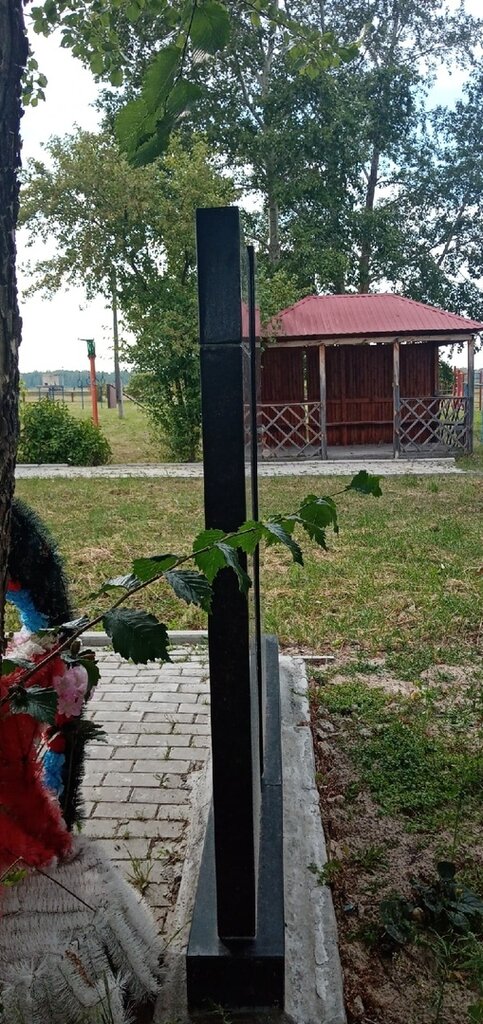Anıt, heykel Погибшим воинам в годы ВОВ 1941-1945 гг., Tümen (Tiumenskaya) oblastı, foto