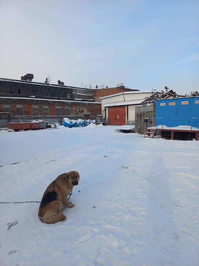 Elektrik servisi Elektromontazh-4, Novokuznetsk, foto