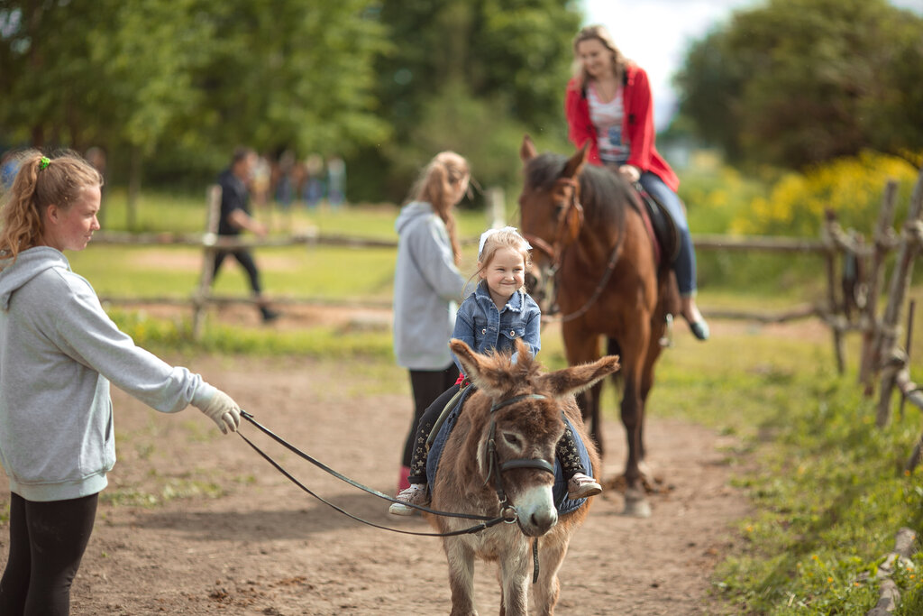 At ve binicilik kulüpleri Подворье Спасения Лошадей, Saint‑Petersburg ve Leningradskaya oblastı, foto