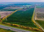 Фермерское хозяйство Берестейское КФХ (Brescki rajon, Telminski Rural Council), tarım firmaları  Brestskaya oblastından