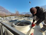 Asclima (Lombardy, Provincia di Milano, Legnano, Via Giovanni Pierluigi da Palestrina, 33), klima satışı  Milano'dan