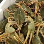 Crawfish (Vyborgskoe Highway No:439), balık ve deniz ürünleri  Saint‑Petersburg'dan
