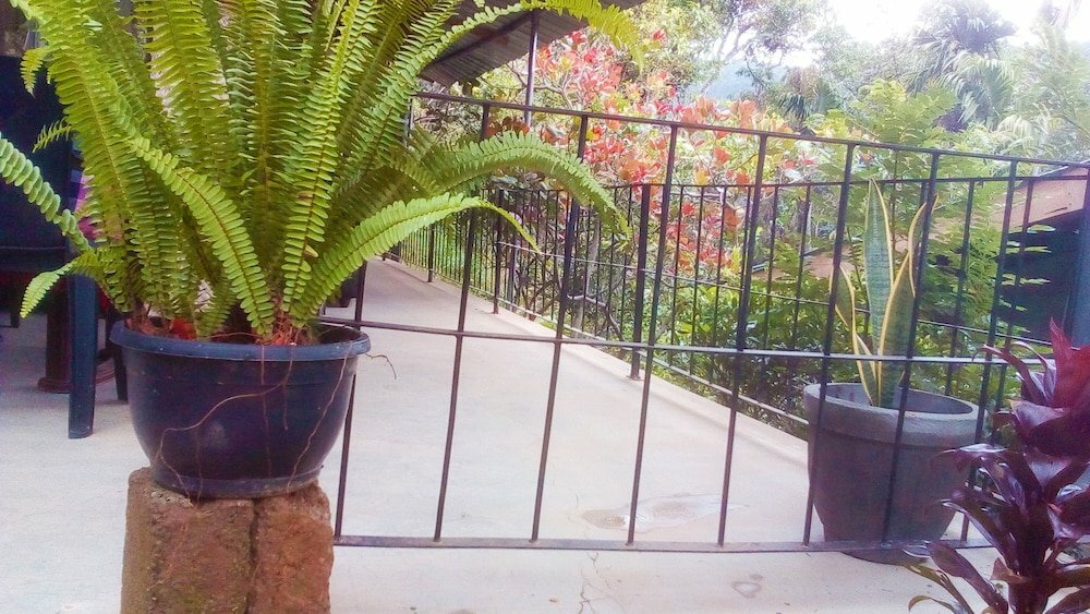 Konuk evi Walkers Nest, , foto