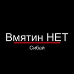 Вмятин Нет (ulitsa Tolstogo No:139), oto kaporta  Sibay'dan