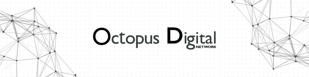 Yazılım firmaları Octopus Digital Network, Karaçi, foto