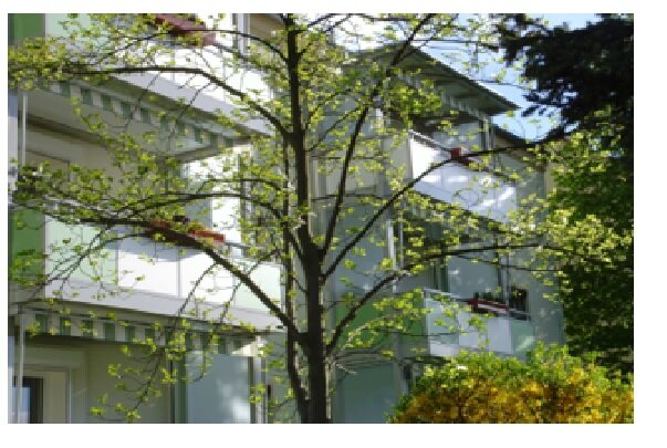 i̇mar iskan müdürlüğü Wohnungsgenossenschaft Wiesa eG, Saksonya, foto