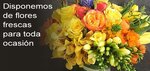 Flores Yapel Floristeria (Bogotá, Chapinero, Marly, Calle 47, 13-33), çiçekçiler  Bogota'dan