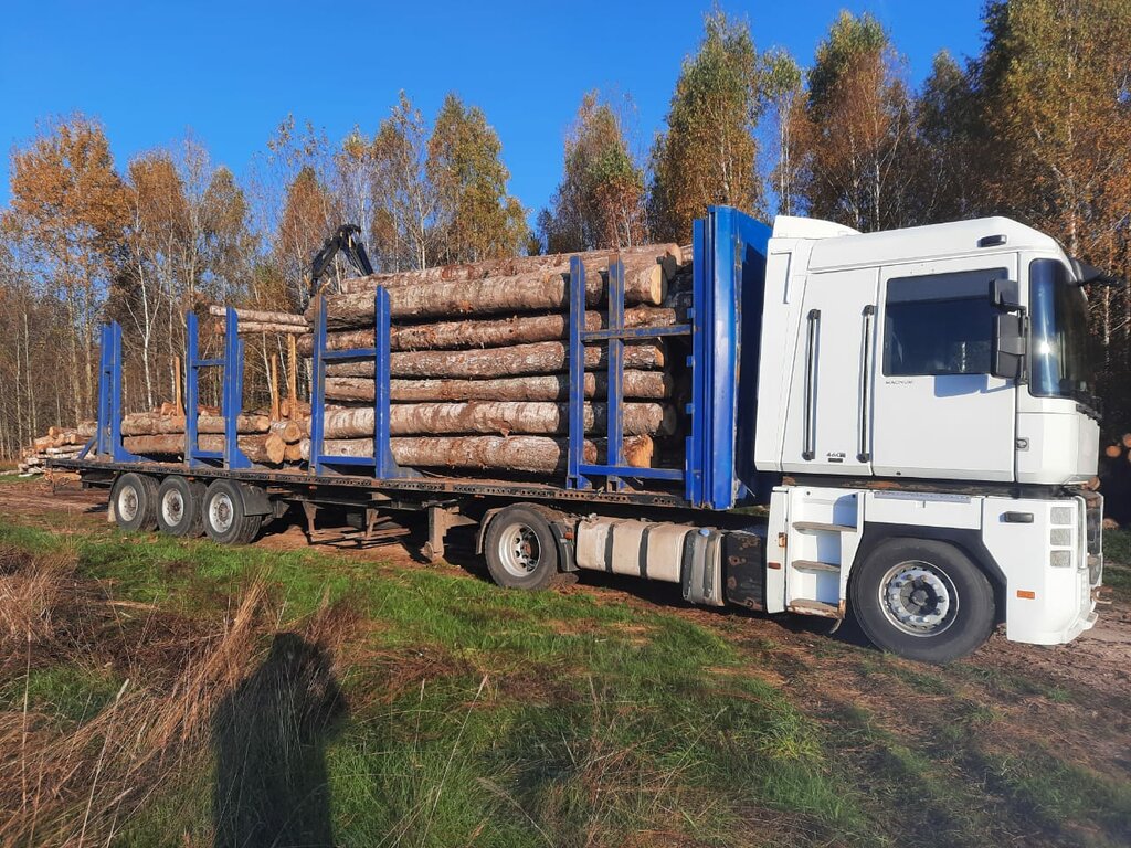 Kerestecilik, ağaç satışı ИП Спитлер Александр Александрович, Brianskaya oblastı, foto