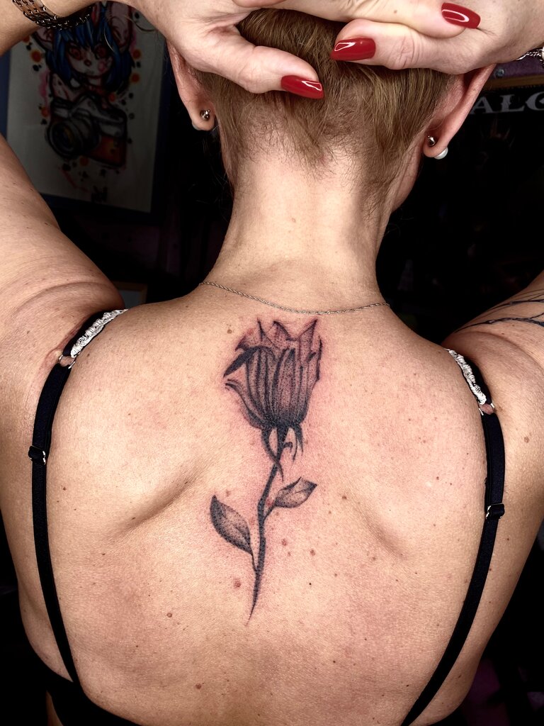 Dövmeciler Alv Tattoo, Moskova, foto