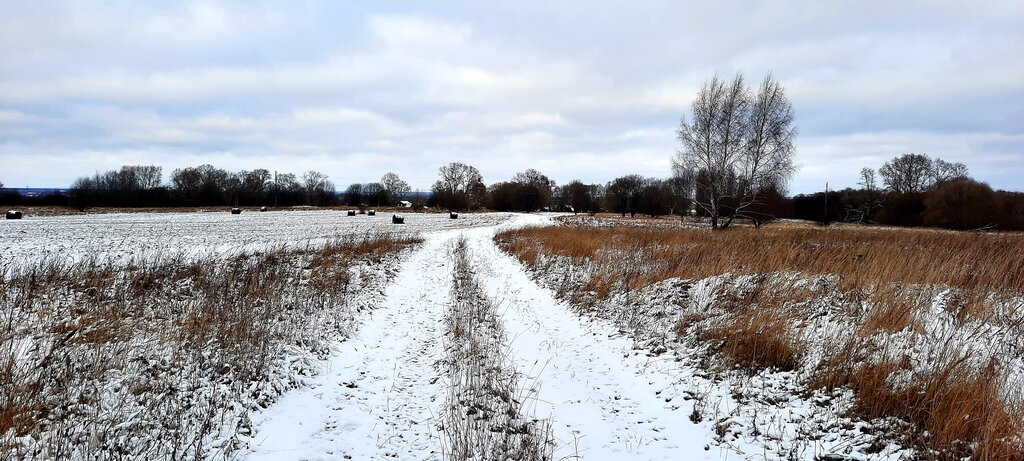 Doğa Трясловский валун, Yaroslavskaya oblastı, foto
