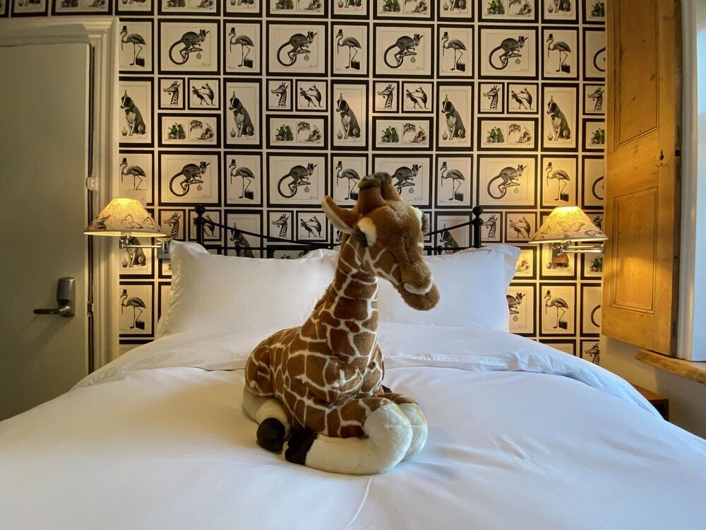 Otel 27 Brighton, Brighton, foto