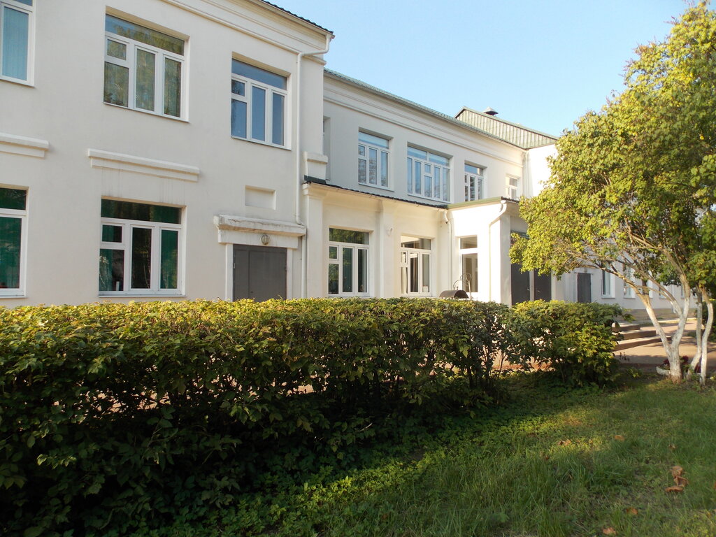 Lise Ломоносовский лицей, Noginsk, foto