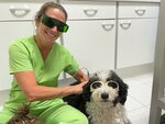 Clínica Veterinaria La Viña (Autonomous Community of Andalusia, Málaga, Urbanización N Andalucia 1f, 2), veteriner klinikleri  Estepona'dan