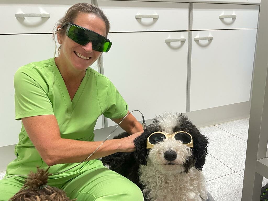 Veteriner klinikleri Clínica Veterinaria La Viña, Estepona, foto