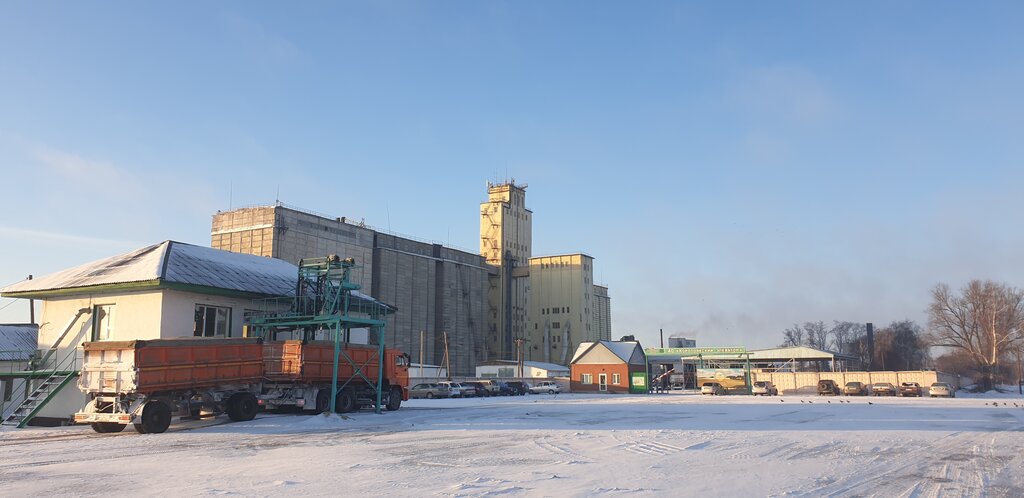 Silo Коротоякский элеватор, Altayski krayı, foto