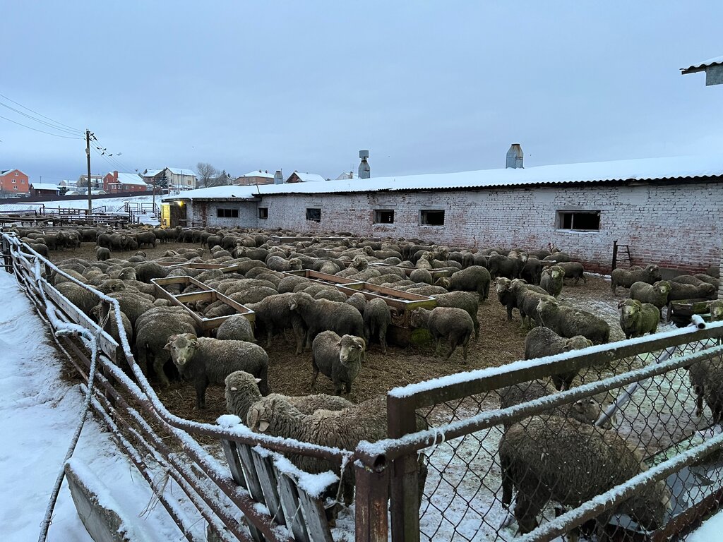 Tarım ürünleri firmaları Ферма, Moskova, foto