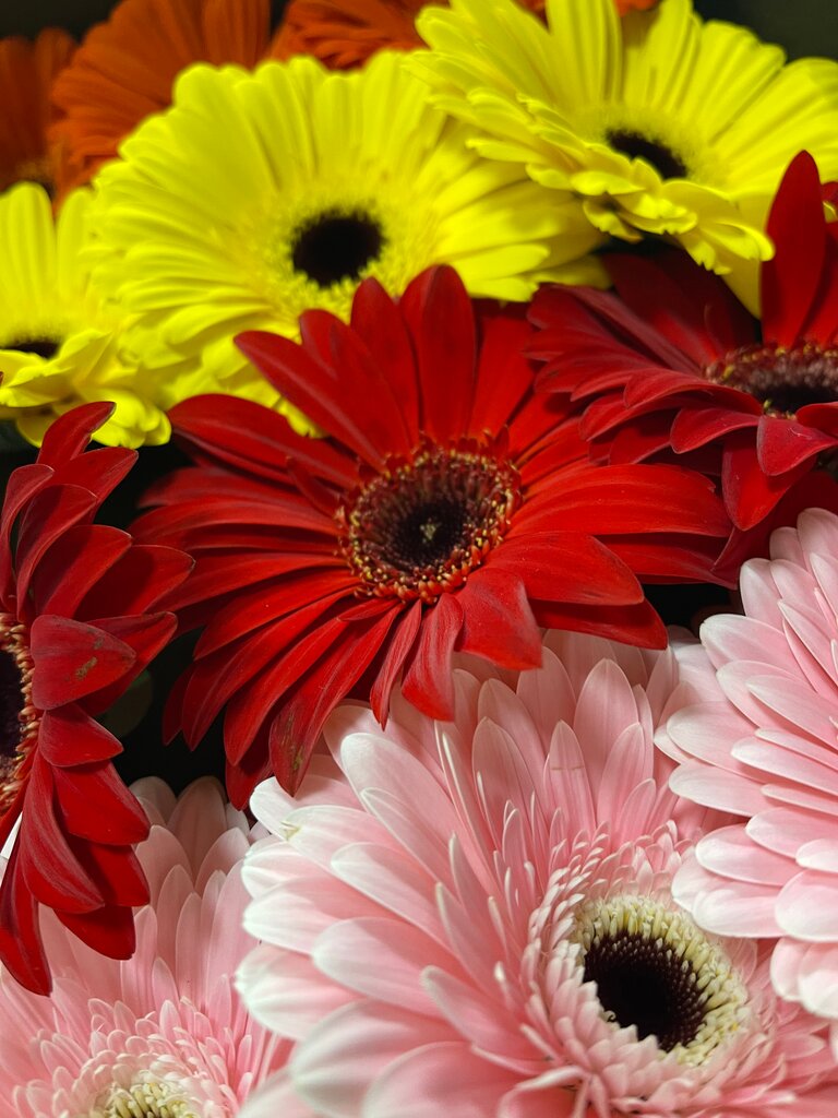 Çiçekçiler Akulova V. V. Prodovolstvenny magazin Ip, Kovdor, foto