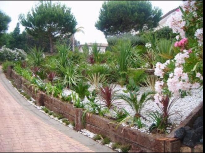 Yüzme havuzları Green Garden Sotogrande, Endülüs, foto