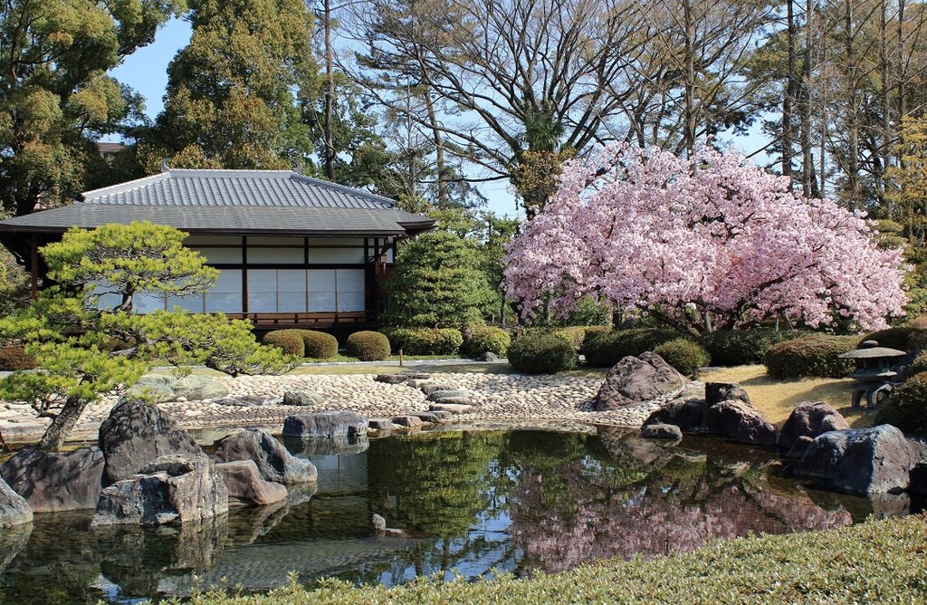 Fotoğraf hizmetleri 京都ブライダルサロンぎおん, Kyoto, foto